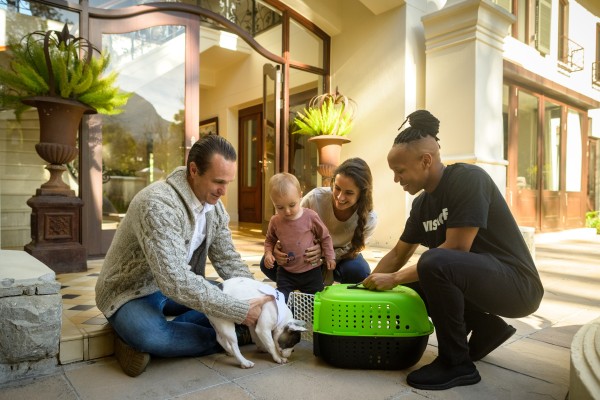 Caring Pet Transport Service Across South Africa Caring Pet Transport Service Across South Africa