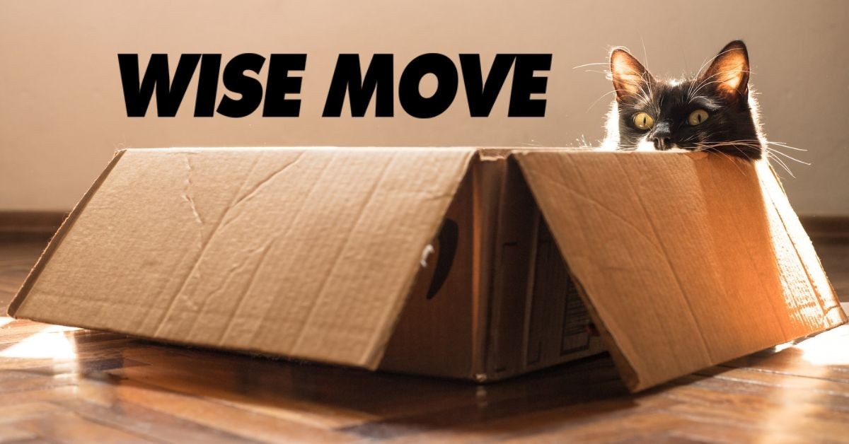 Vervoer Maatskappy Dienste met Wise Move | Pryse en Top Diens
