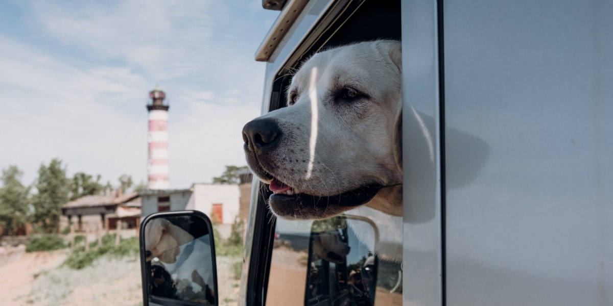 12 Tips For Moving Pets With Less Stress