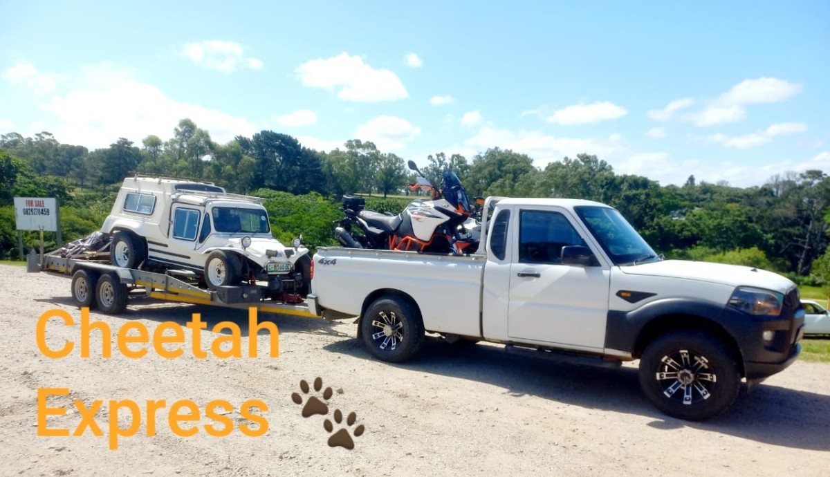 Cheetah Express — Book Now