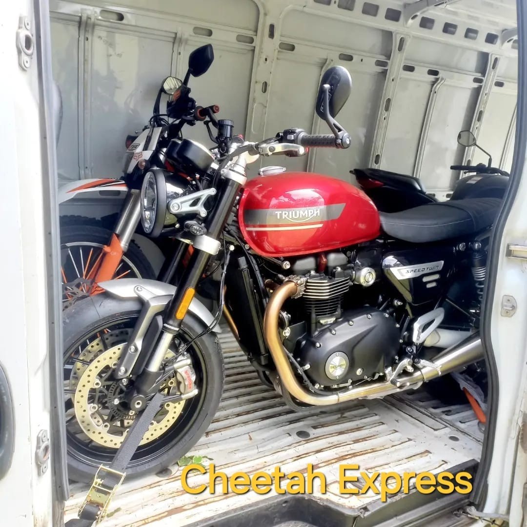 Cheetah Express — Book Now