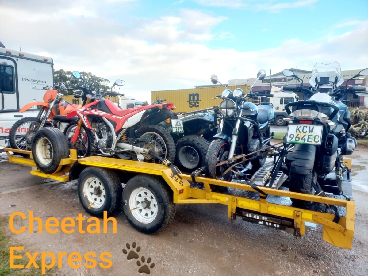 Cheetah Express — Book Now