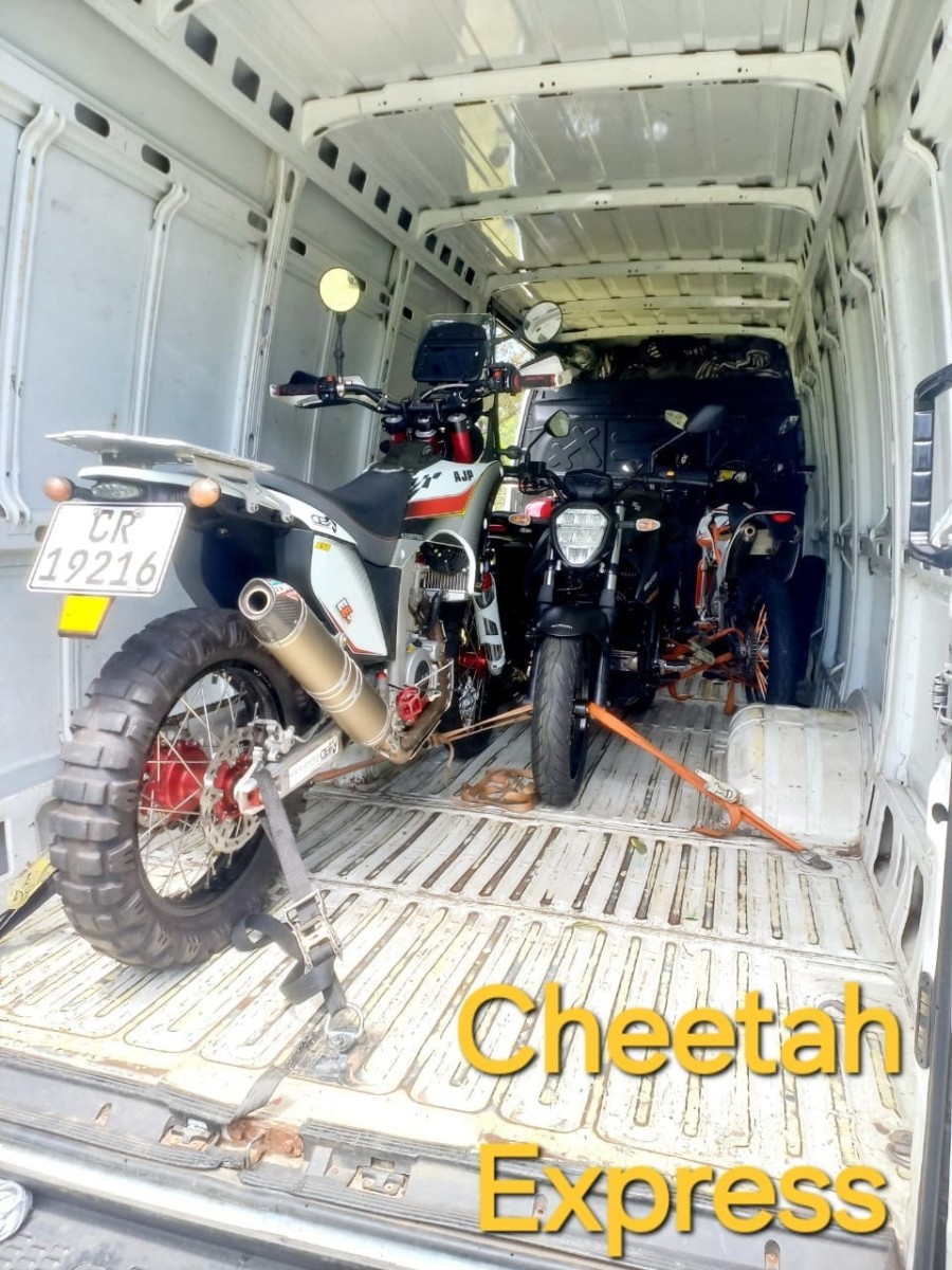Cheetah Express — Book Now