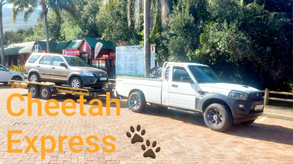 Cheetah Express — Book Now