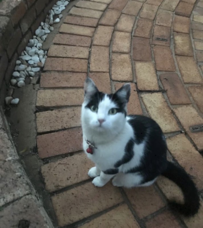 JMD Transport — Book Now